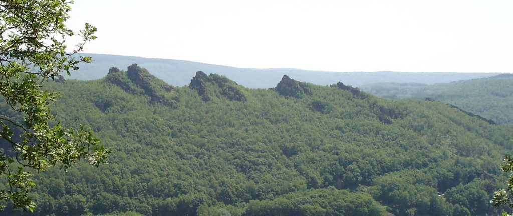 Les 4 Fils Aymon - Ville de Bogny-sur-Meuse